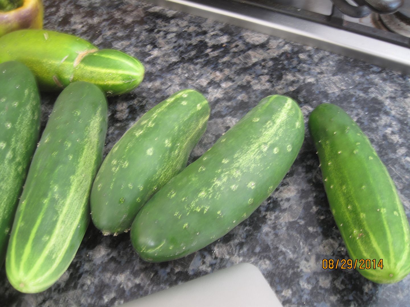 Super Easy Freezer Pickles | my sister's pantry