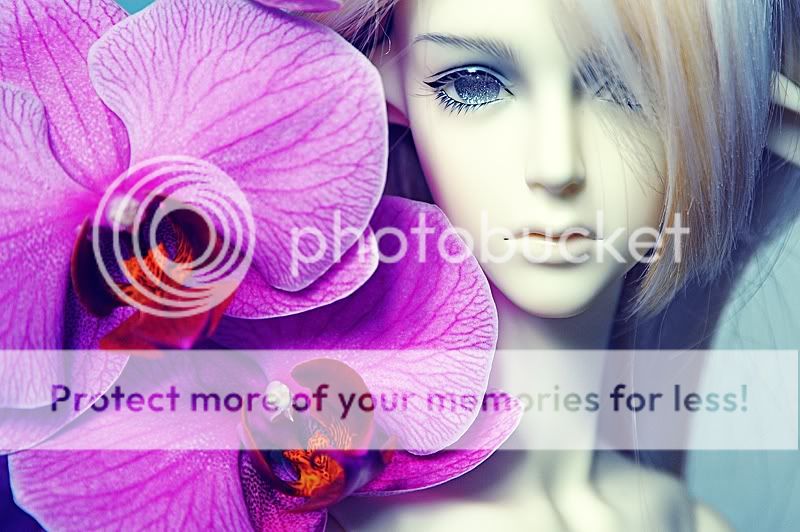 BJD-club • Просмотр темы - Amber Soom Club