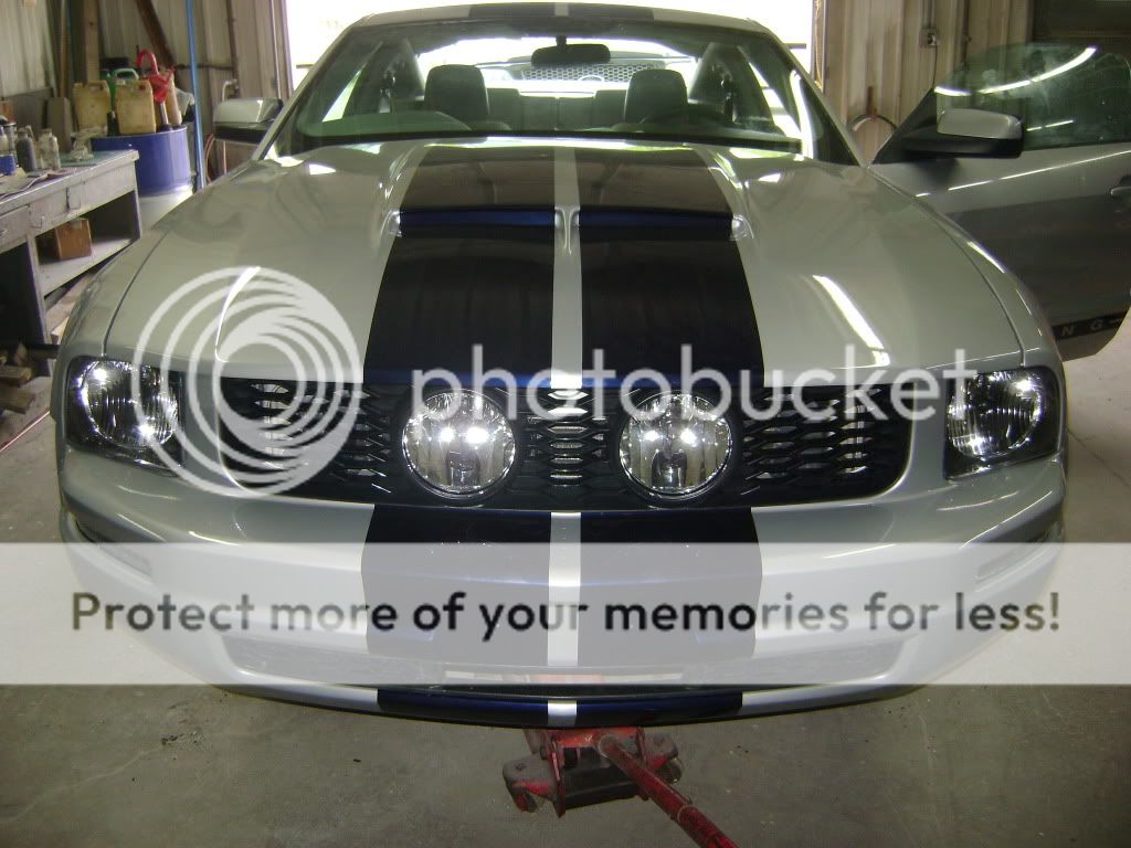 Street Scene Grille | S197 Mustang Forum - S197Forum.com