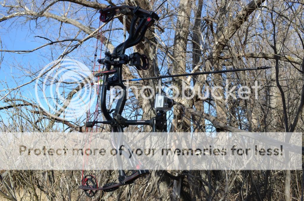 lets see your Hoyt setups! | Page 4 | Archery Talk Forum